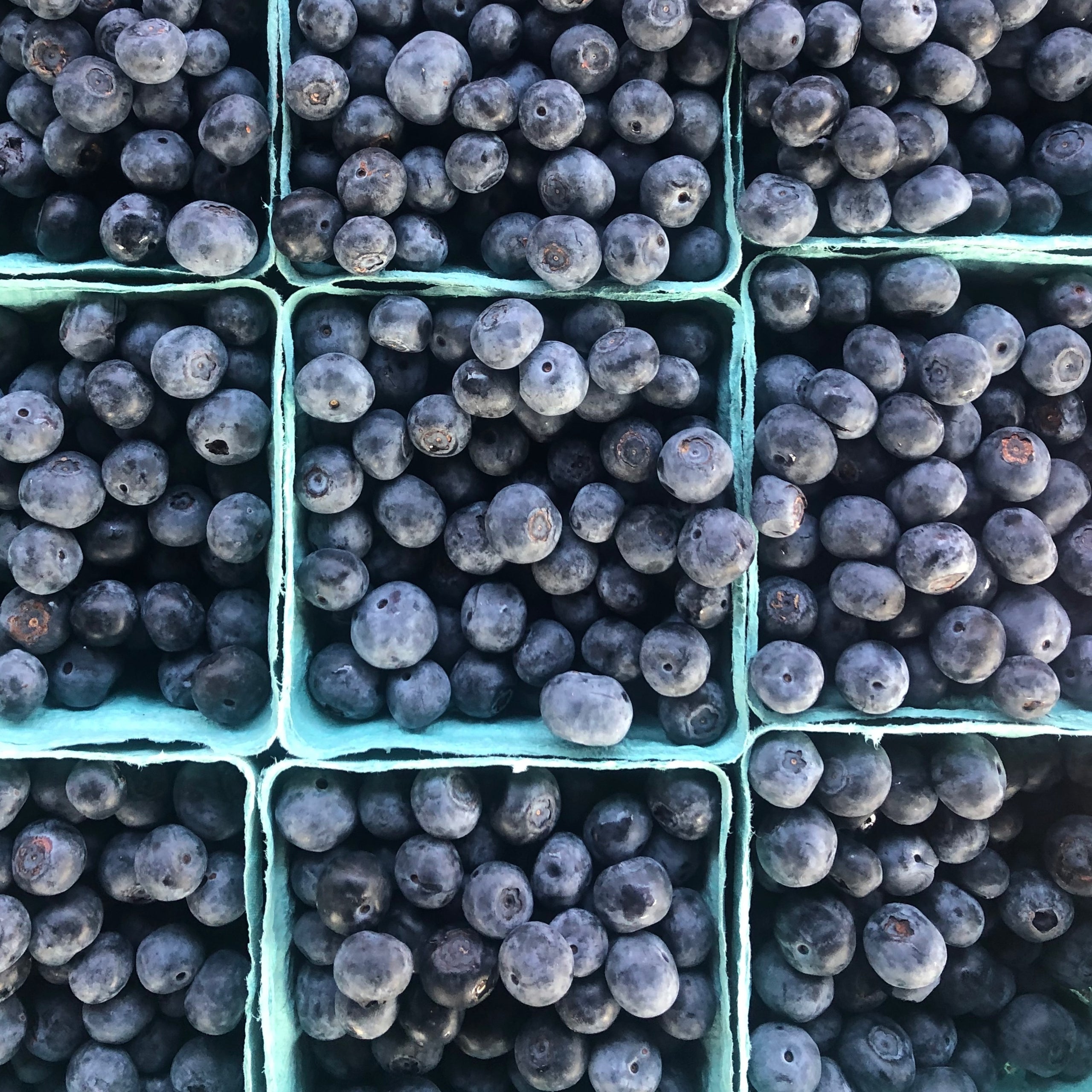Blueberries | Swamp Rabbit Cafe and Grocery